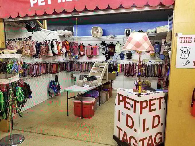 Pampered pooch paradise! Even Fido deserves retail therapy, with enough leashes here to walk every dog in the county simultaneously.