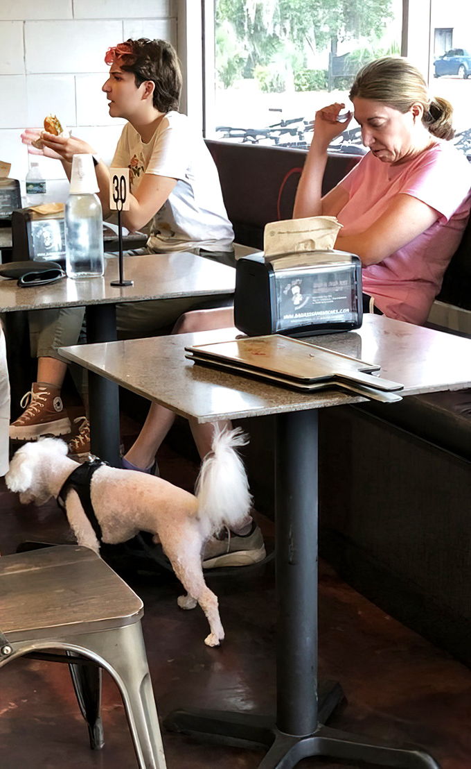 Even four-legged friends know where the good food is. That pup is clearly a regular with excellent taste.