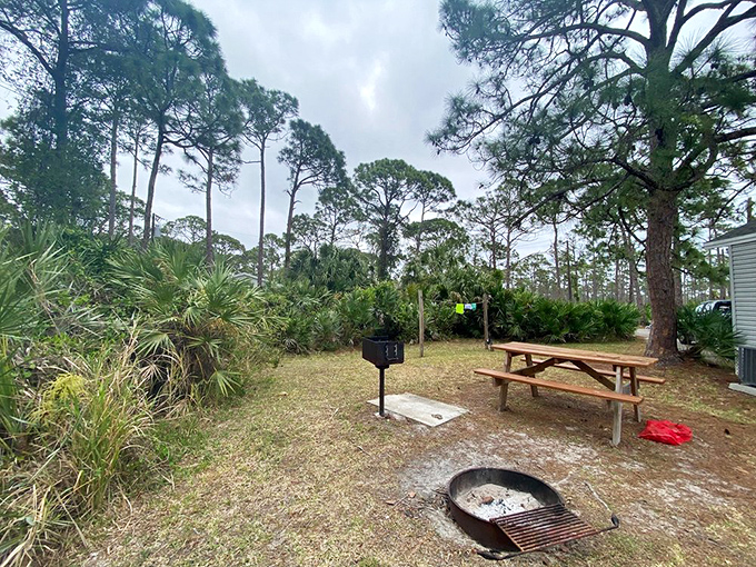 Picnic perfection awaits. This simple setup&mdash;a table, fire ring, and slice of Florida wilderness&mdash;beats any five-star restaurant view in my book.