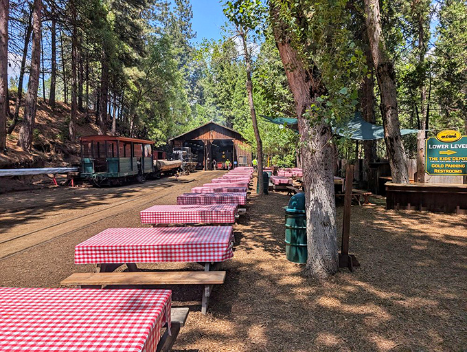 Checkered tablecloth heaven! These picnic tables beneath towering pines promise lunches that somehow taste better with train whistles as background music. 