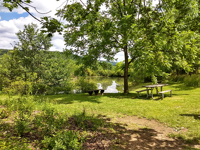 Lakeside picnic tables offer dining with a view that puts even the fanciest restaurant patios to shame&mdash;and you'll never need a reservation.