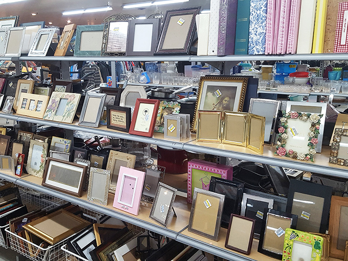 Picture frames galore! From ornate gold to minimalist modern, these forgotten frames await your family photos or that art print you've been meaning to hang.