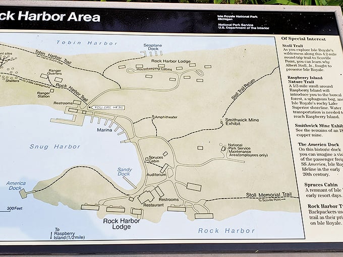 Maps don't capture the magic, but they'll keep you from becoming that person who needs an emergency rescue because "the trees all looked the same."