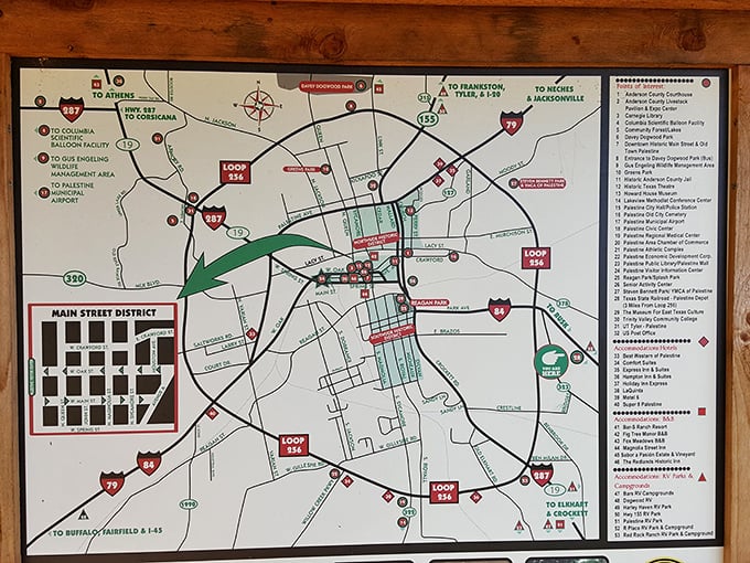 Not all who wander are lost, but this map ensures you won't be. Palestine's attractions await at the other end of your rail journey.