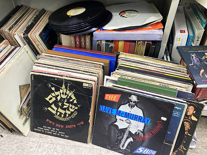 Vinyl treasures for the analog music lover. Each record is a time capsule of sound waiting to spin stories from another era.
