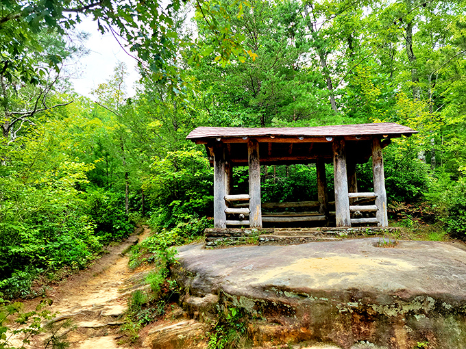 Even nature knows the importance of providing comfortable spots for proper contemplation and people-watching sessions.