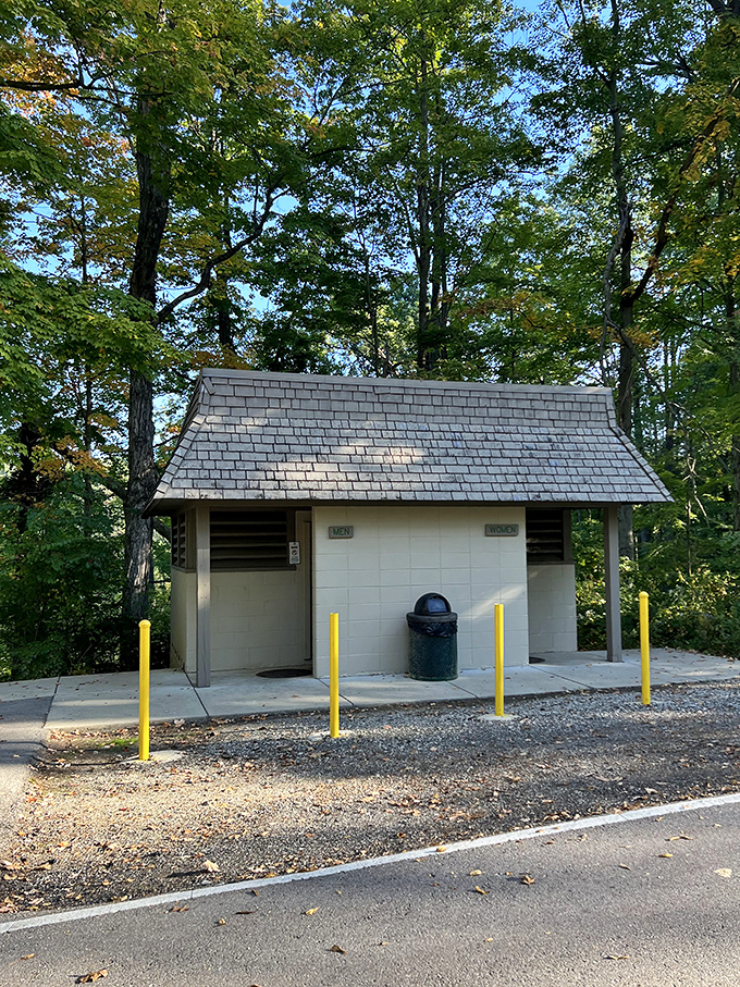 Even the restrooms at Mt. Gilead embrace rustic charm, proving that practical facilities can still honor their woodland setting. 