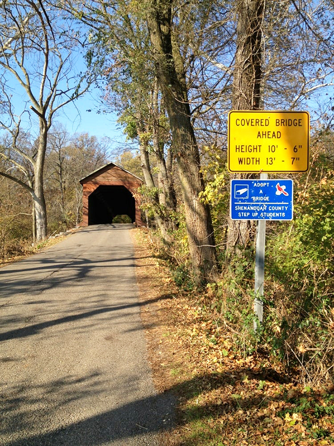 The approach tells you you're somewhere special. That yellow sign might as well say "Prepare for something Instagram-worthy ahead." 