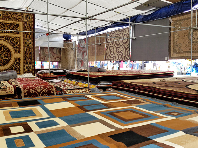 A magic carpet ride without leaving San Jose. These intricate rugs transform ordinary floors into extraordinary statements of color and craftsmanship.