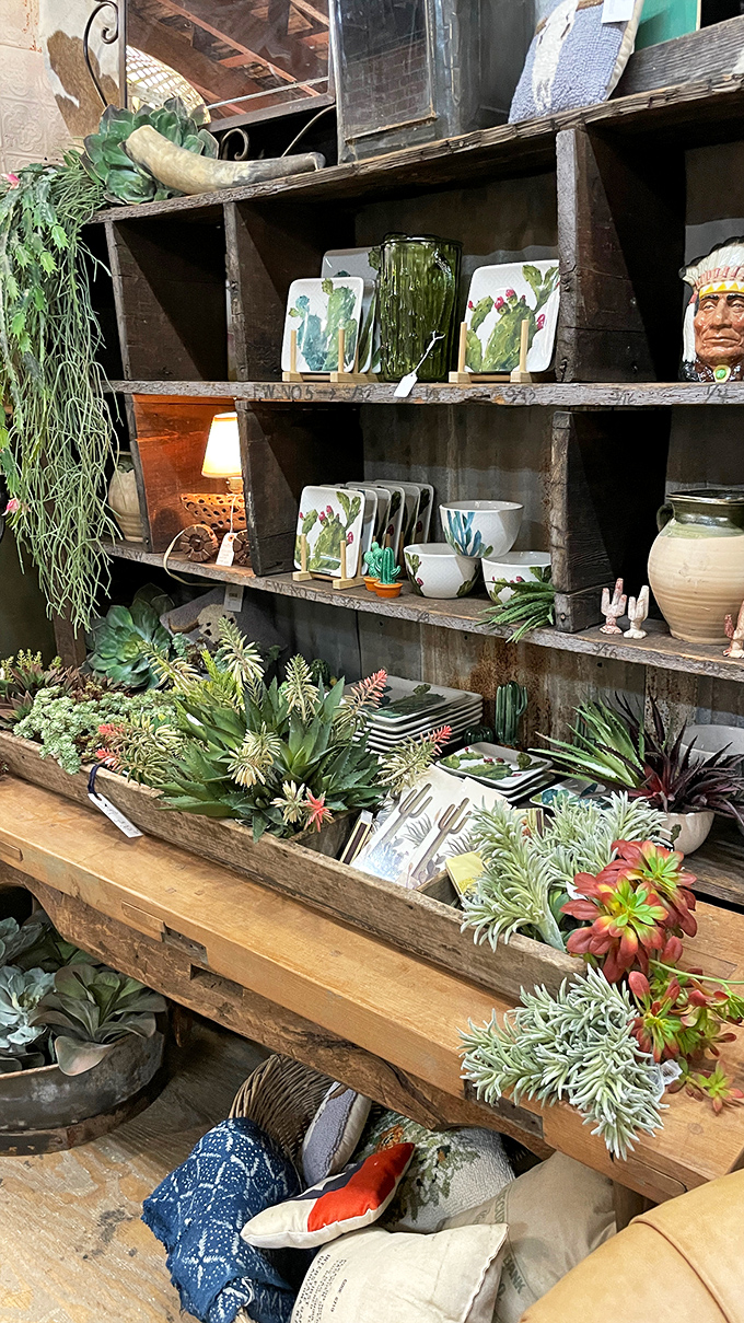 Desert meets d&eacute;cor in this succulent-filled display where cacti-adorned pottery celebrates Arizona's natural beauty in functional art form.