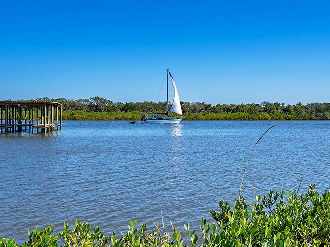Who needs a cruise ship when paradise is in your backyard? Sailing the Indian River Lagoon offers postcard views without passport hassles.