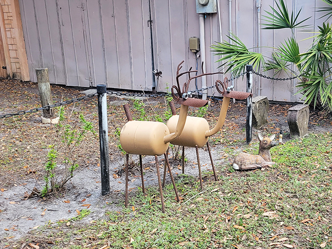 Modern conveniences in a natural setting, proving civilization and wilderness can coexist peacefully.