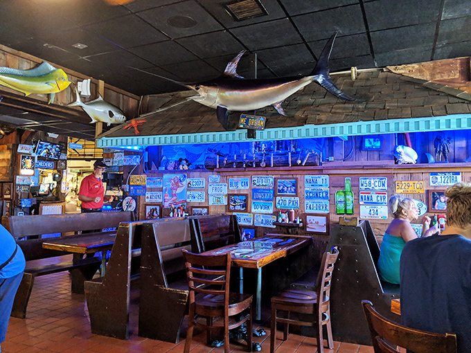 Mounted fish watch over diners from wood-paneled walls, as if to say, "You made the right choice coming here."