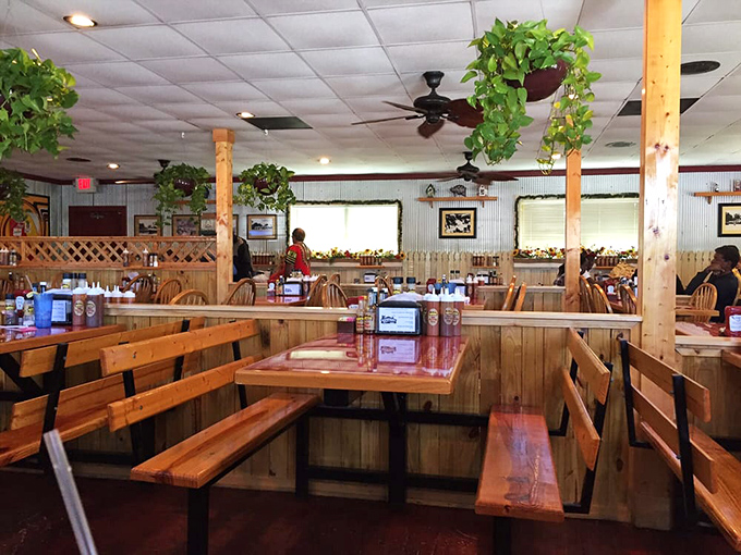 Wooden booths and tables create a rustic dining experience that feels like a backyard gathering—if your backyard had professional smokers and no dishes to wash.