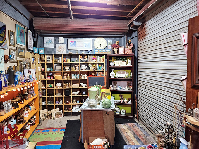 Curio cabinet wonderland! Each shelf holds someone's former treasures waiting to become your future conversation pieces. 