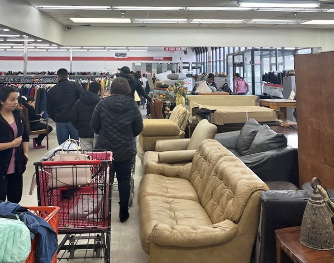 The furniture section: where that perfectly broken-in sofa waits to become the nap spot you never knew you needed.