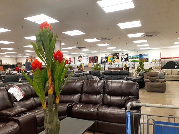 The furniture section: where "I'm just browsing" turns into "I'll take the leather sofa." These comfortable pieces await their starring role in your living room.