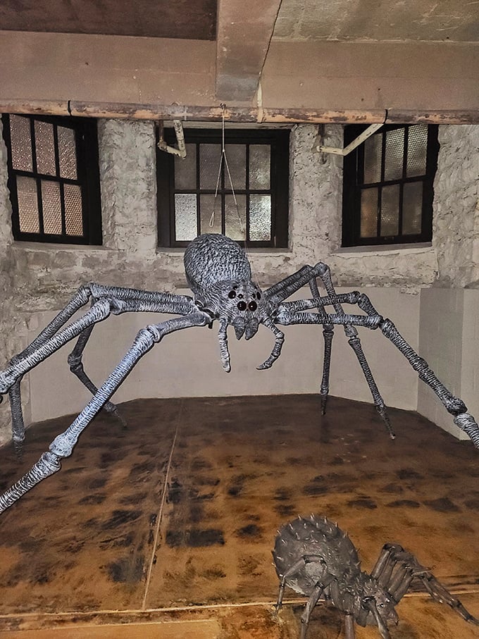 Arachnophobes beware! This giant spider installation in the dungeon area ensures visitors leave with memorable&mdash;if slightly unsettling&mdash;impressions.