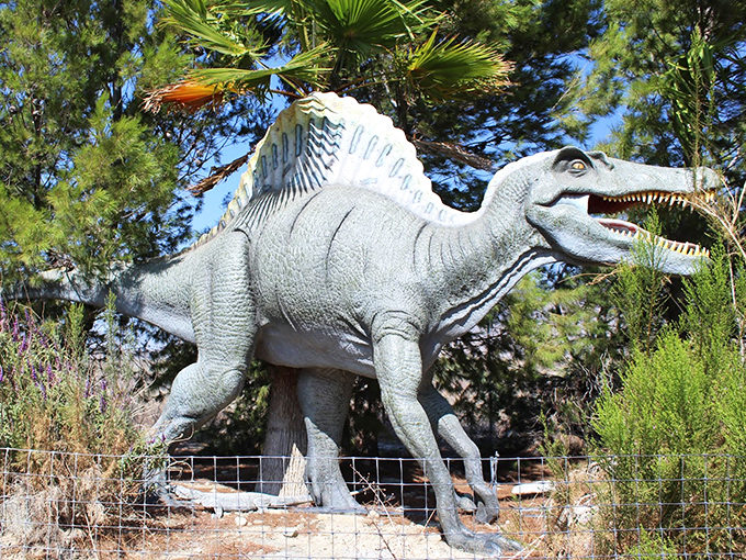 The Spinosaurus stands sentinel in the California sun, its impressive sail and menacing stance a testament to prehistoric power.