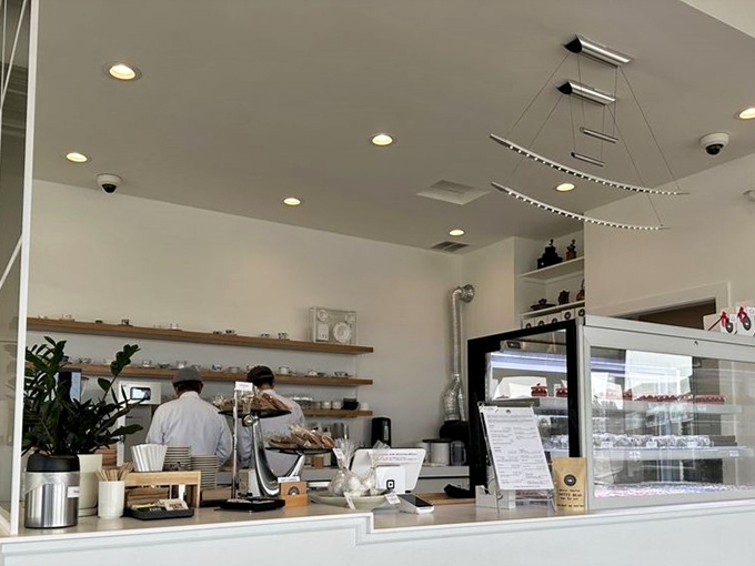 Behind every great dessert is a team of focused professionals. These kitchen choreographers transform simple ingredients into edible poetry.