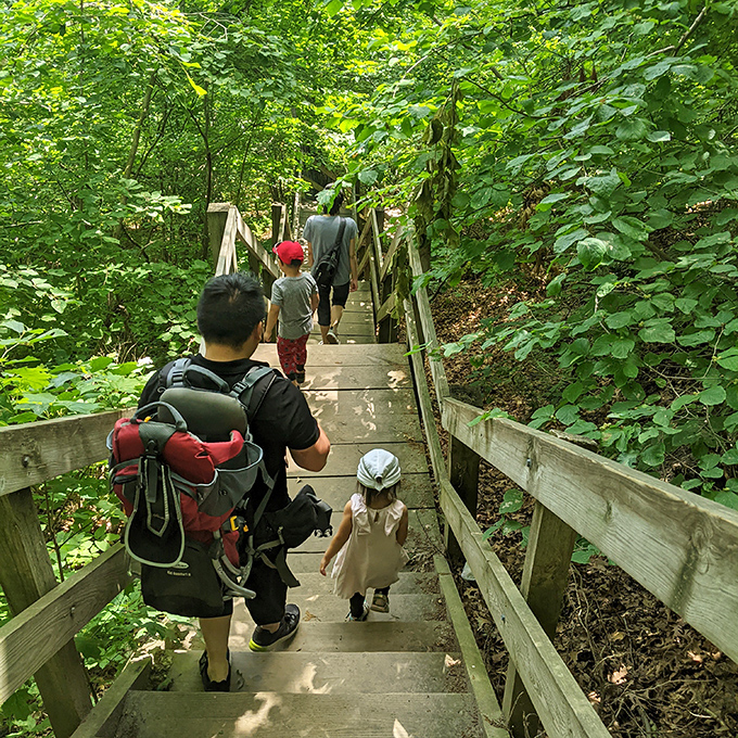 Stairway to heaven? Not quite, but these wooden steps do lead to some divine canyon views worth every huff and puff.