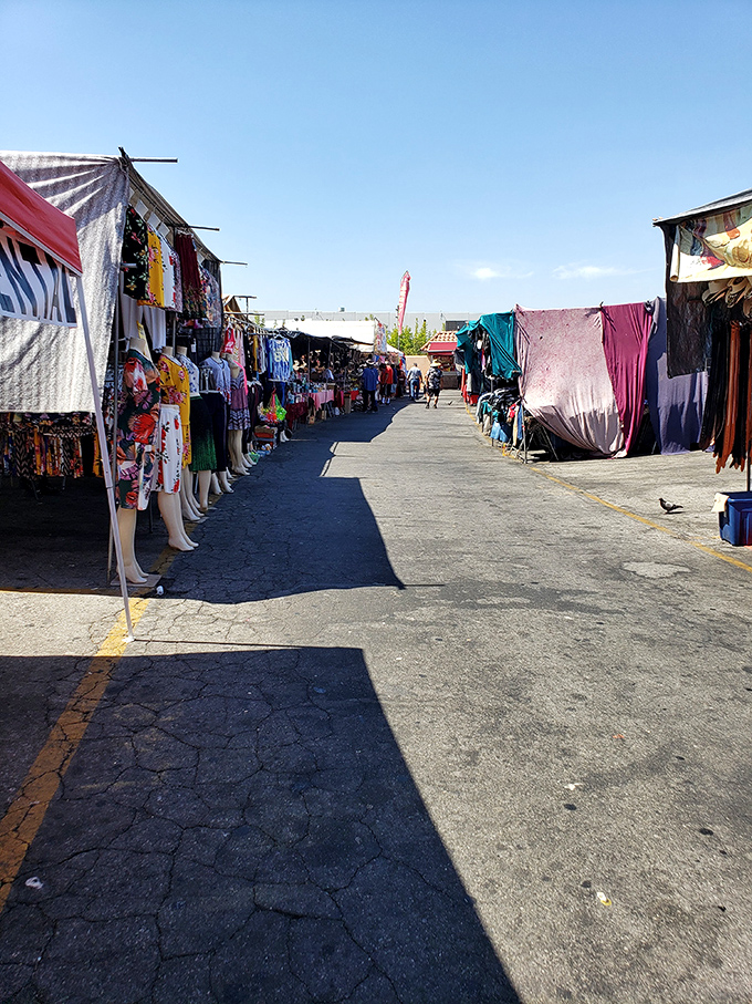The calm before the shopping storm. Early morning at the swap meet offers peaceful browsing before the treasure-seeking crowds arrive.