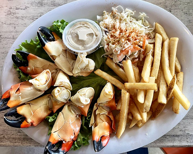 Stone crab claws &ndash; Florida's seasonal treasure served without pretense. Nature's perfect design: sweet meat, ready-made handles, and a side of simple slaw.