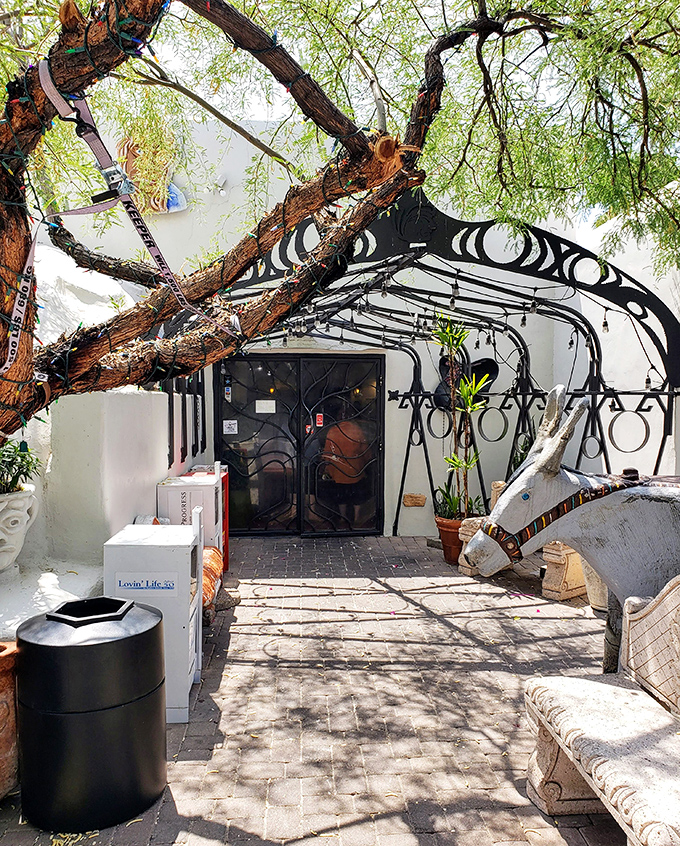 This entrance feels like walking through a portal to flavor town, with that mesquite tree standing guard like a delicious bouncer.