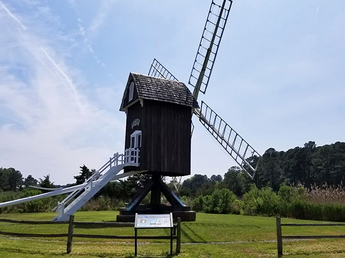 This straight-on view showcases the windmill's surprisingly delicate framework, proving that sometimes the sturdiest structures don't need to be the heaviest. 