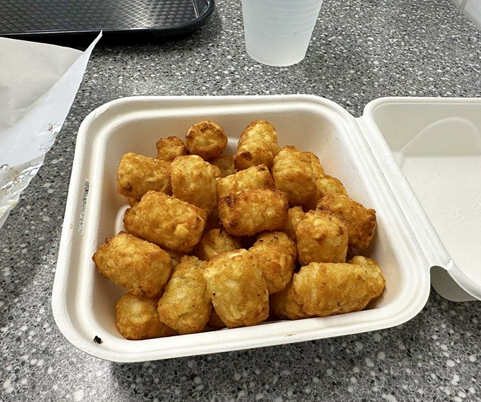 Tater tots: the unsung heroes of the side dish world. Golden, crispy nuggets of potato perfection that deserve their own fan club.