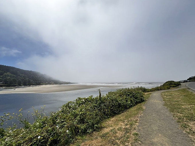 The Oregon coast in all its misty glory. This is the view that seasons your seafood with salty air and maritime magic.