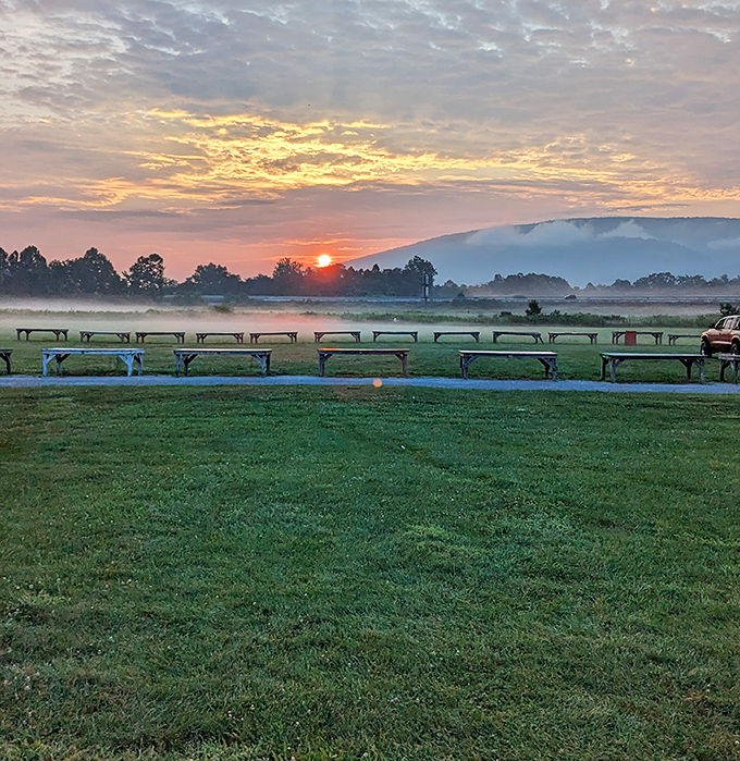Morning mist over picnic tables hints at the magical discoveries waiting inside those buildings.
