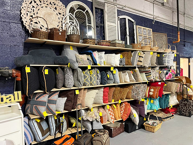 The throw pillow section: where your couch's personality makeover begins and ends, all for less than the price of a fancy dinner.