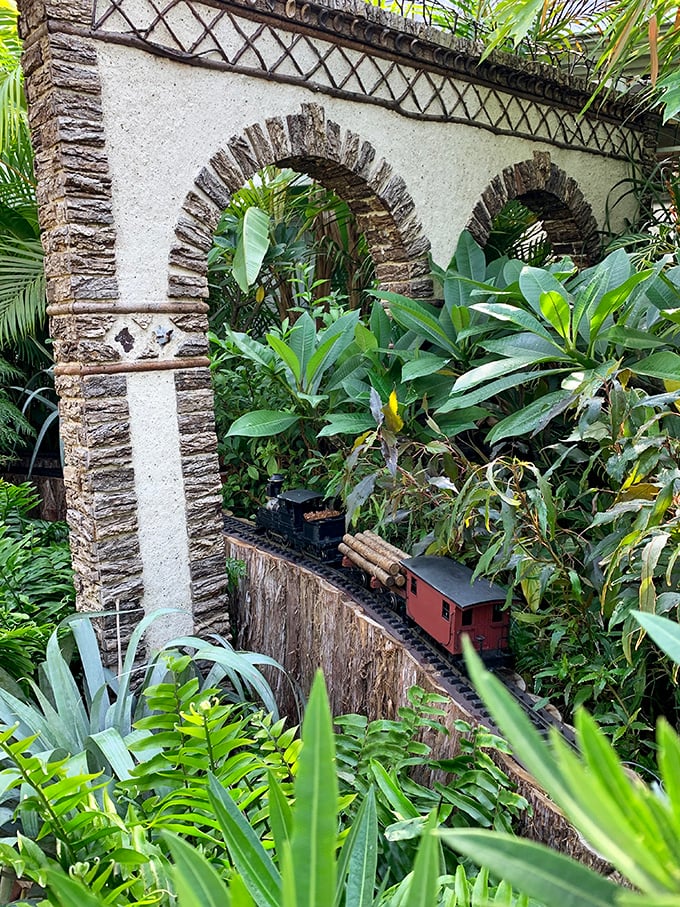 A miniature train chugs through tropical foliage, proving that even model railroads get fantastic vacation destinations. All aboard the tiny express to paradise!