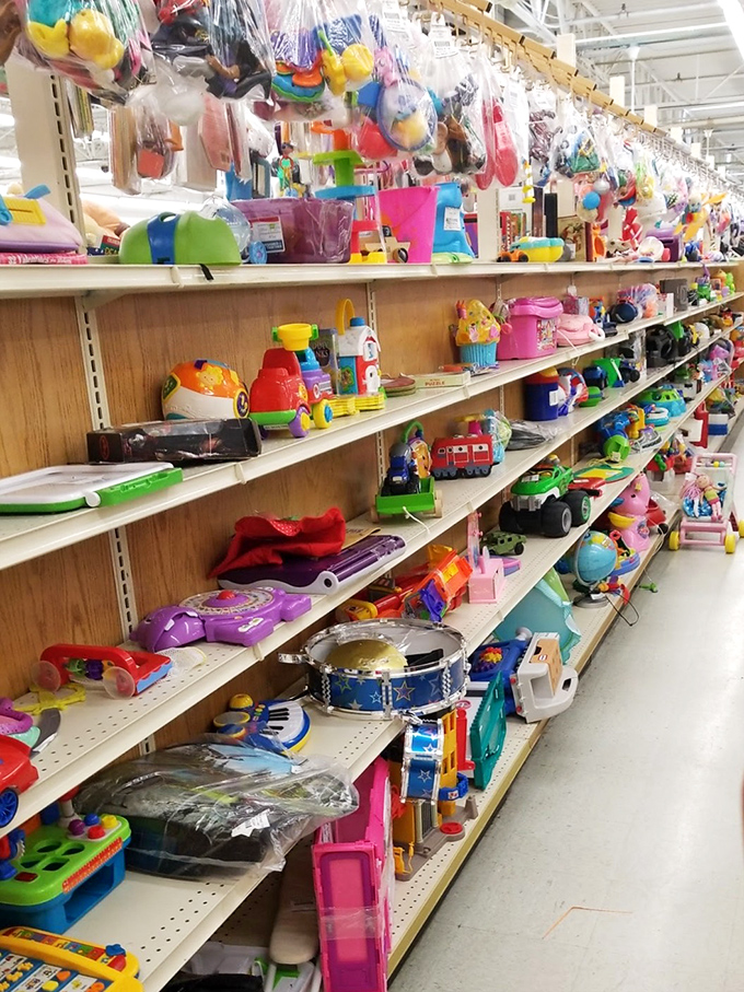 Toy paradise where childhood dreams get recycled. From plastic dinosaurs to musical instruments&mdash;imagination finds affordable fuel here.