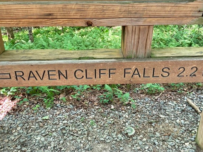 Trail markers: the unsung heroes of wilderness exploration. This simple wooden sign prevents countless "I think we turn left here" arguments among hiking companions.