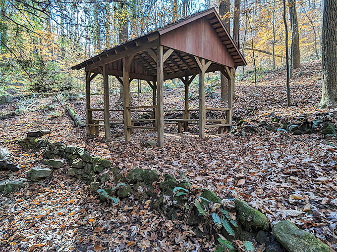 Trail-side shelters offer perfect spots to pause and appreciate nature's free entertainment all around.