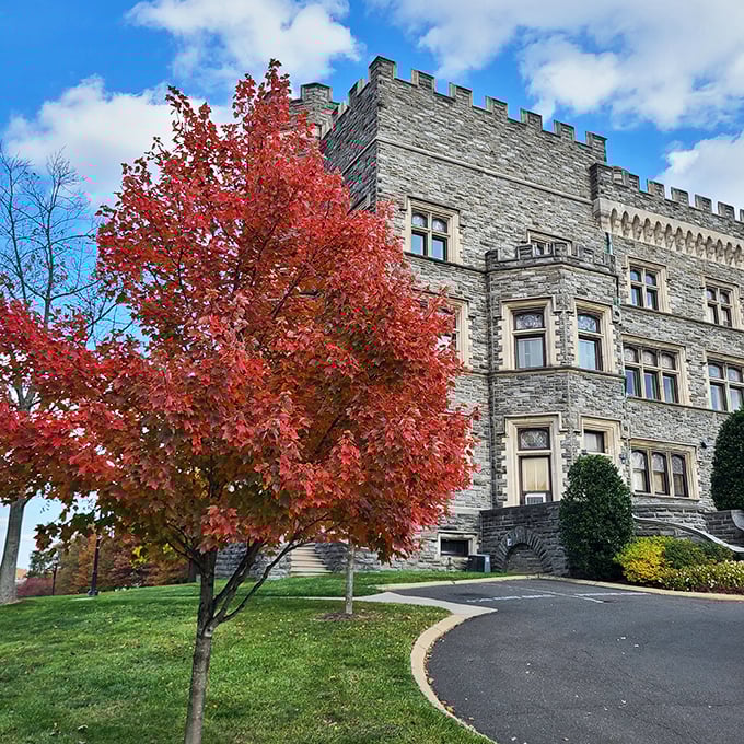 Fall brings dramatic contrast as vibrant maple leaves frame the castle's weathered stone walls. Nature's perfect accessory for this architectural masterpiece.