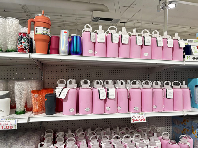 Hydration with a side of style! These tumblers keep drinks at perfect temperatures without the Instagram-influencer markup.