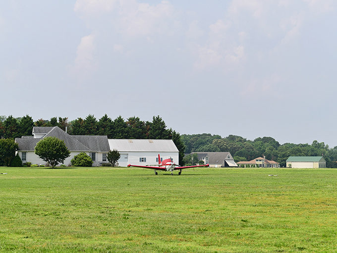 Where flying saucers and conventional aircraft peacefully coexist. The grassy runway provides perspective on the Futuro's unusual presence in this rural setting.