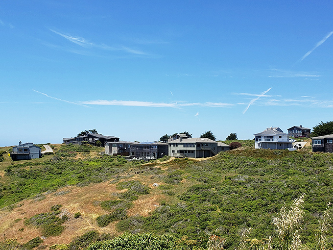 These hillside homes are social distancing champions, offering privacy with panoramic views that no Zoom background could ever replicate.