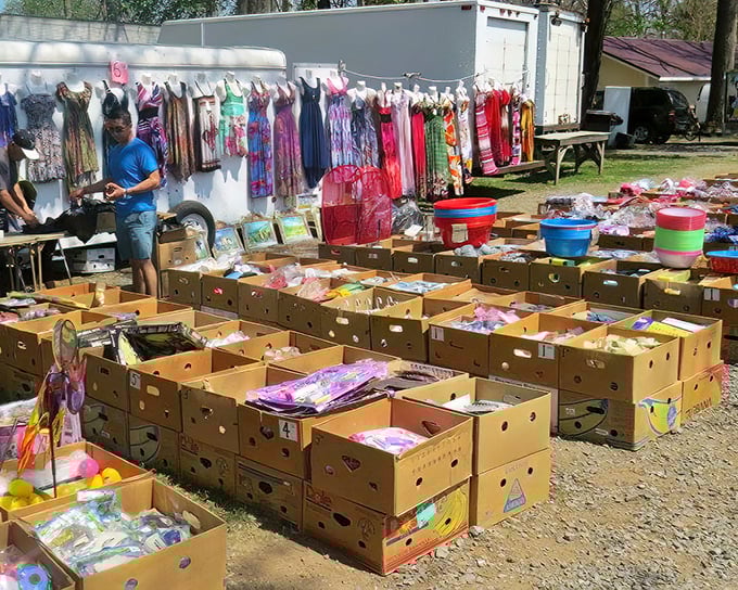 Bargain hunter's bonanza! Colorful dresses and mysterious cardboard boxes create the ultimate treasure hunt for patient shoppers.