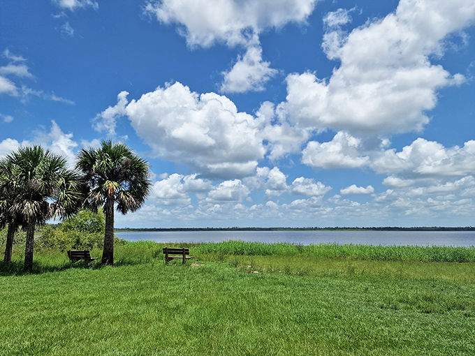 Nature's waiting room comes with the best view in town. These benches offer front-row seats to Florida's greatest ongoing show.