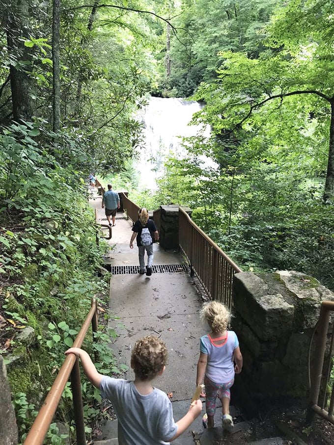 Multi-generational magic in action - some experiences create memories that span decades and bring families together naturally.