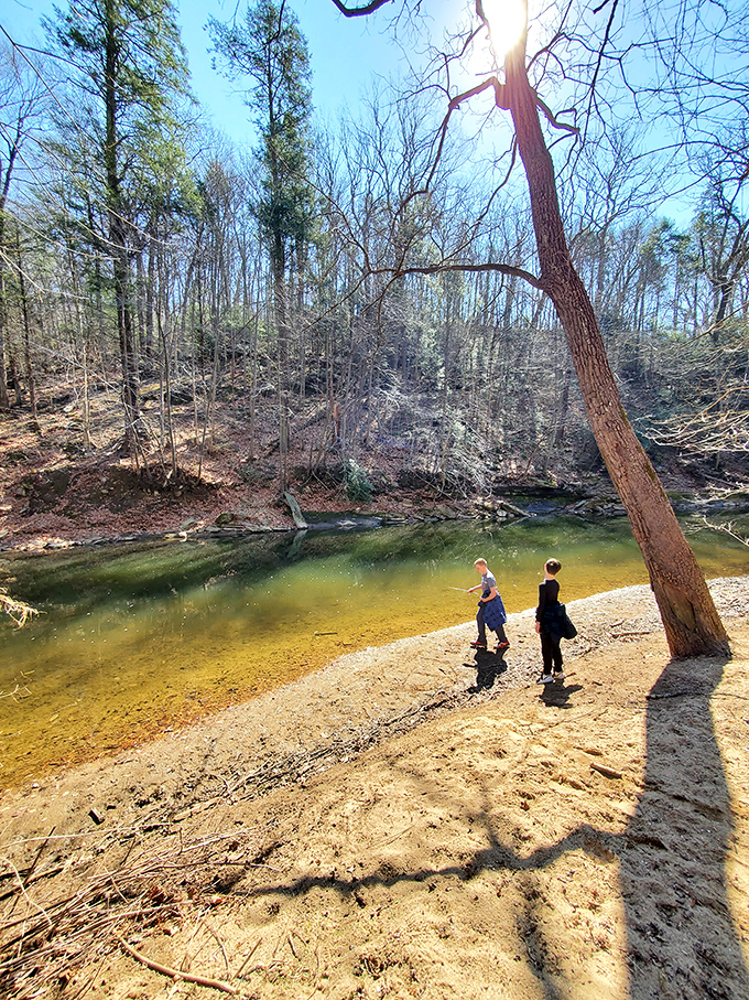 Childhood rediscovered: The simple joy of skipping stones by the creek reminds us that the best entertainment never needed batteries or Wi-Fi.