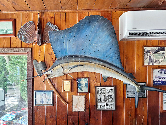 Not just decoration&mdash;this sailfish is the patron saint of seafood restaurants everywhere, silently blessing your meal choices from above.