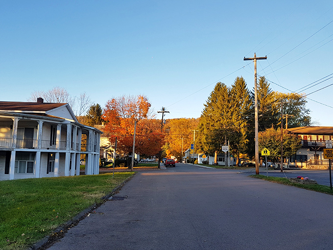 The autumn light in Friendsville transforms an ordinary street into a painting worthy of lingering appreciation.