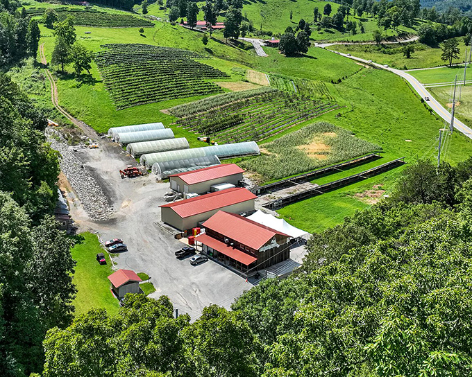 East Tennessee's farmland creates a patchwork quilt of fields and pastures outside Maynardville, changing colors with each passing season.