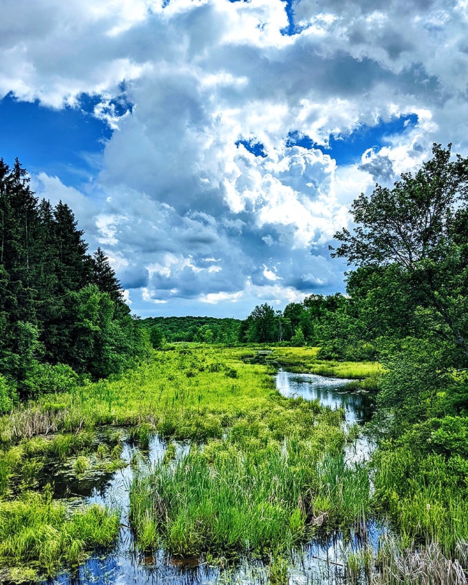 Mount Pocono's endless forests make Central Park look like someone's backyard herb garden - no offense, Manhattan.