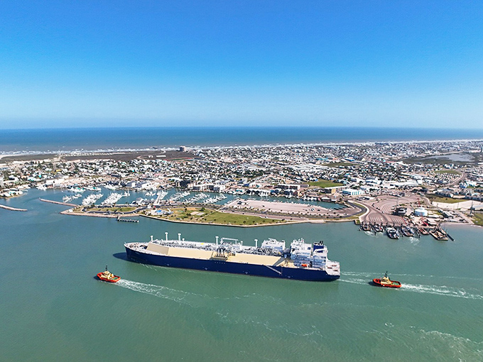 Port Aransas marina, where boats bob like exclamation points at the end of sentences about perfect Gulf Coast days.
